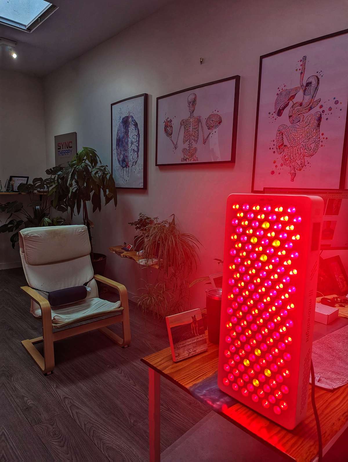 Mito Pro X 750 Review | Why I Use It As An Award Winning Therapist